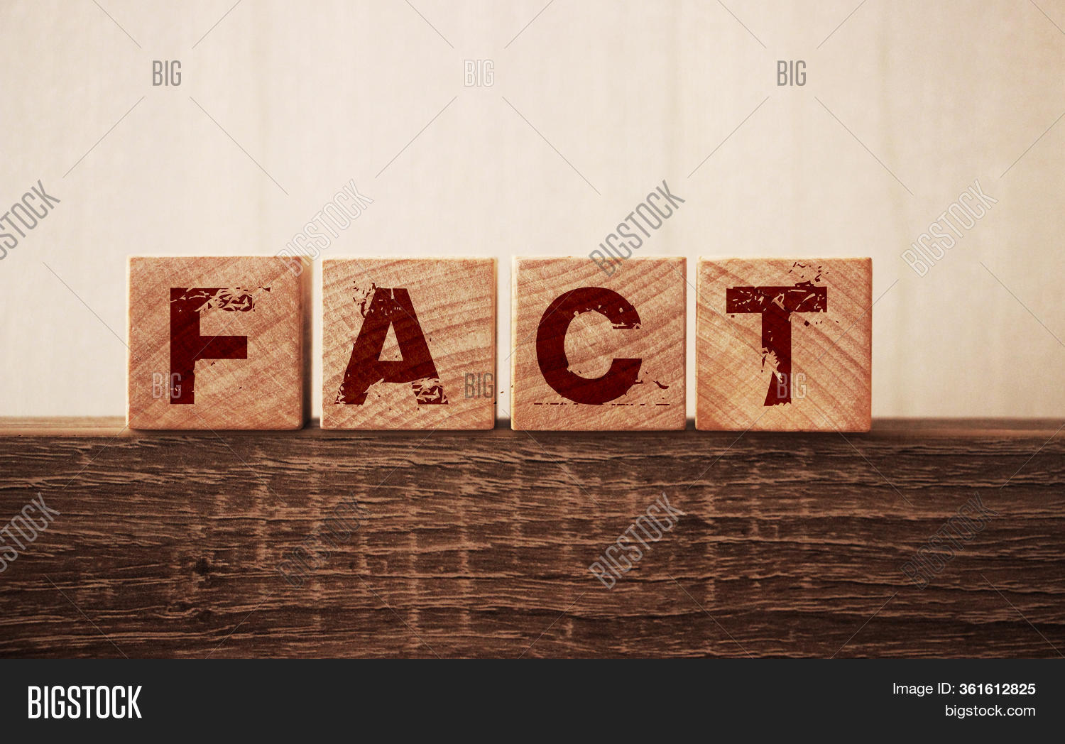 Fact Word Written Image & Photo (Free Trial) | Bigstock