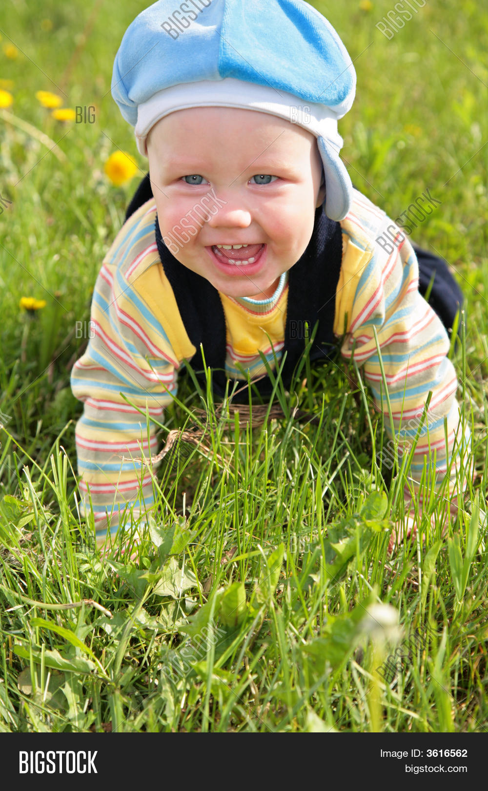 Baby Creep On Grass Image & Photo (Free Trial) | Bigstock