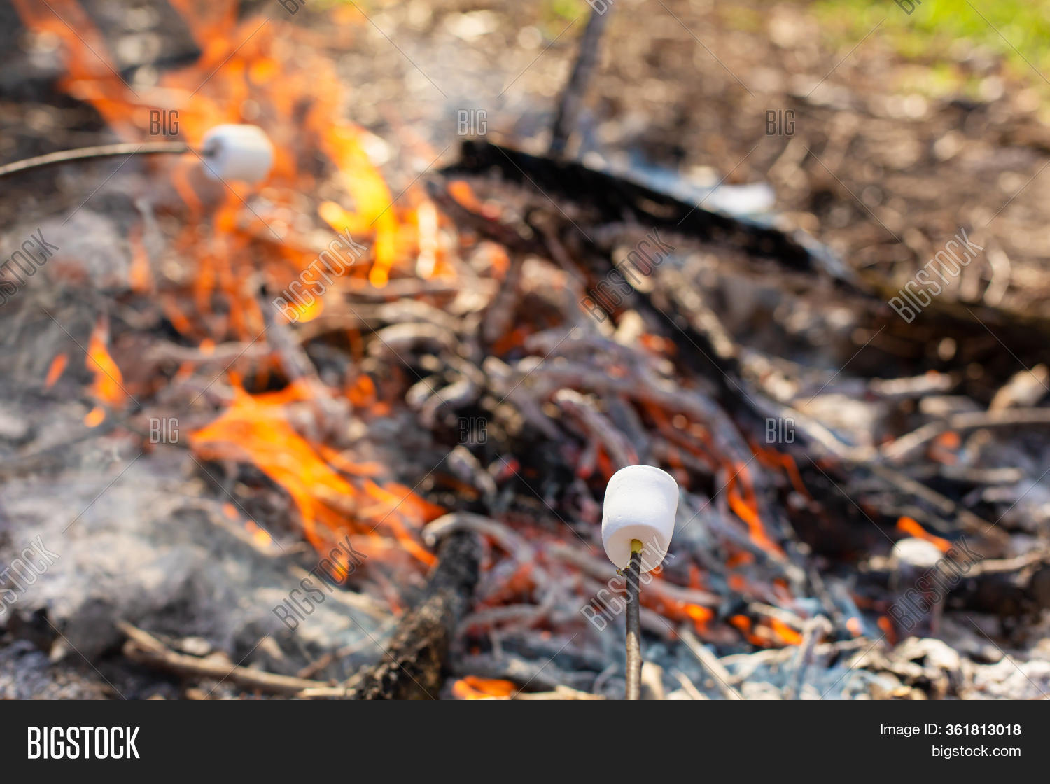 Camping Bonfire, Image & Photo (Free Trial) | Bigstock