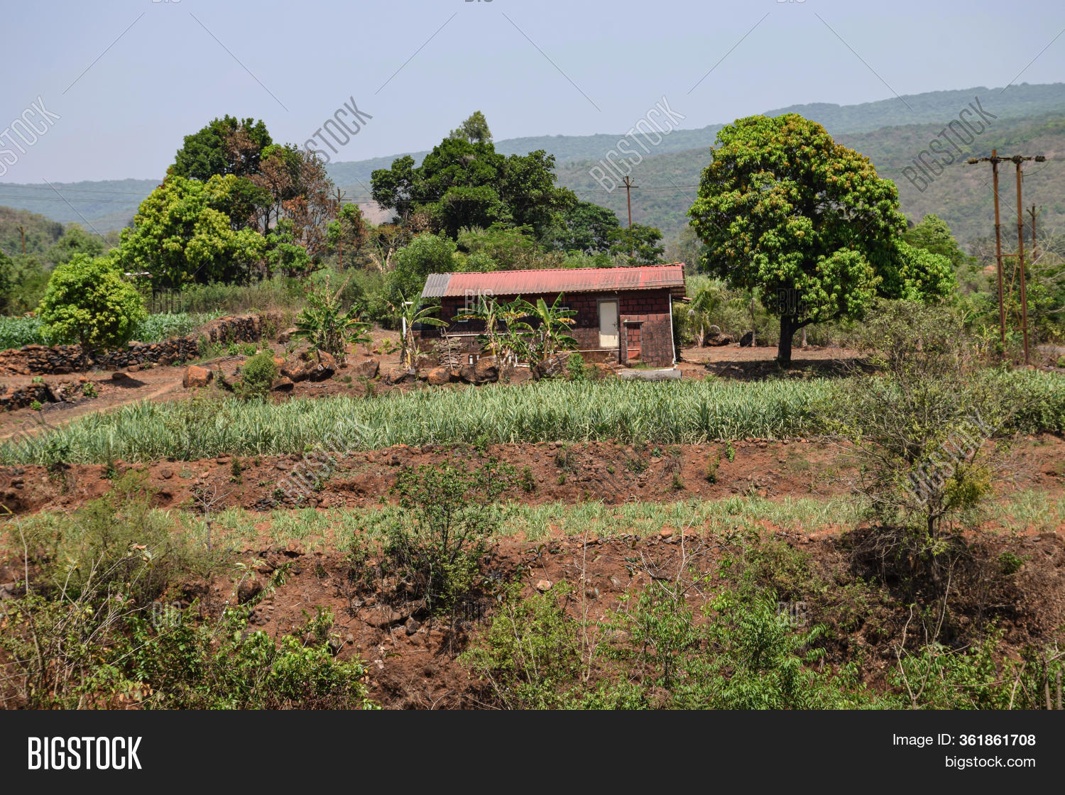 Small Farm House Image & Photo (Free Trial) | Bigstock