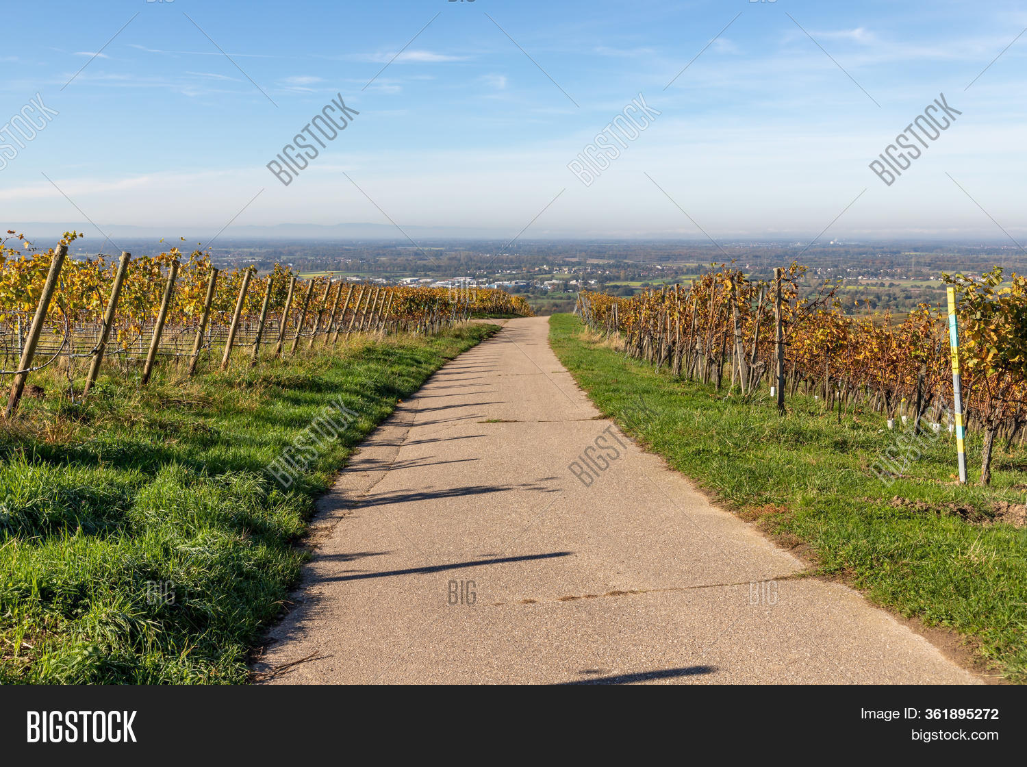 Varnhalt Vineyard Road Image & Photo (Free Trial) | Bigstock