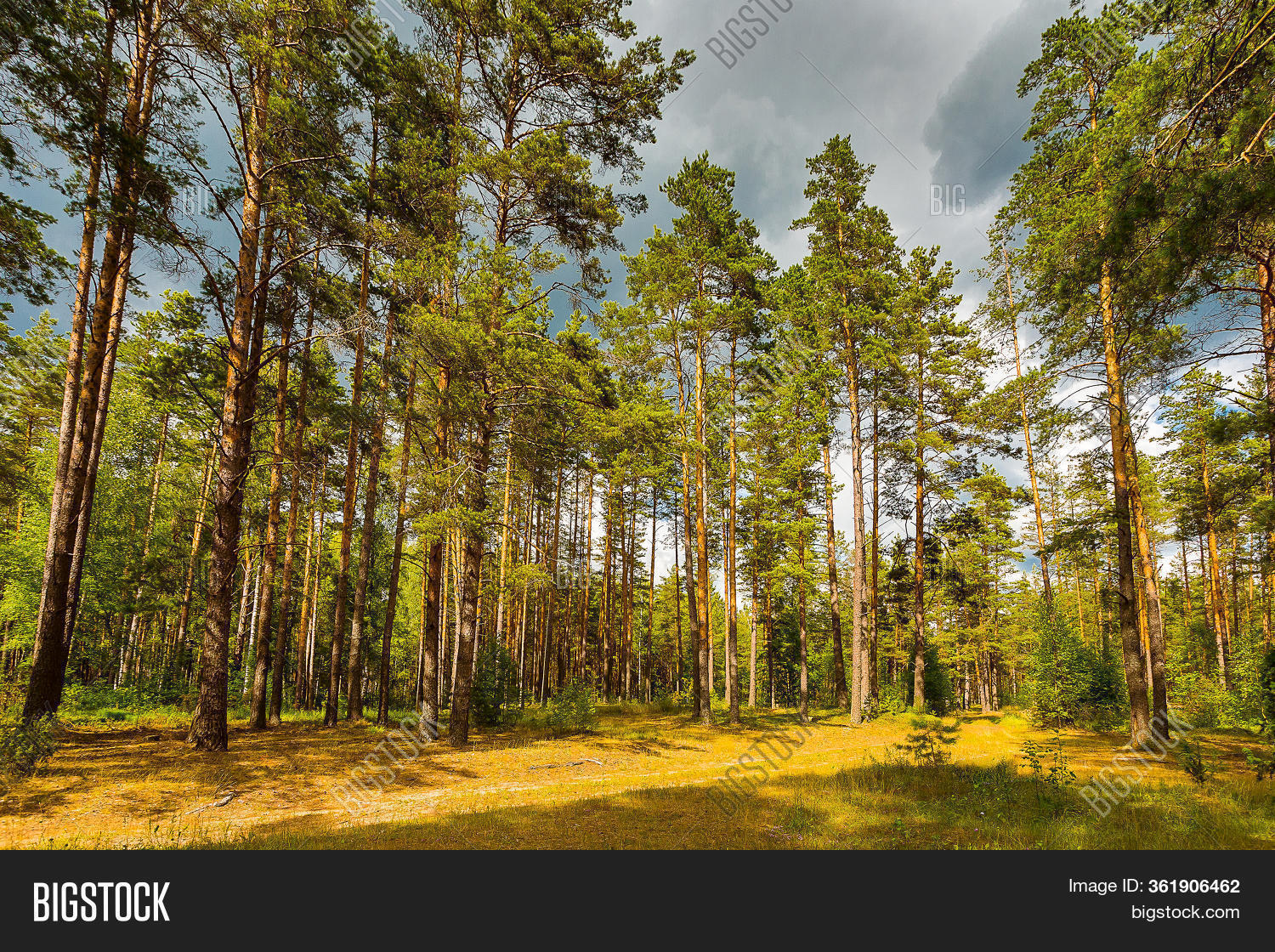 Severe Thunderstorm Image & Photo (Free Trial) | Bigstock