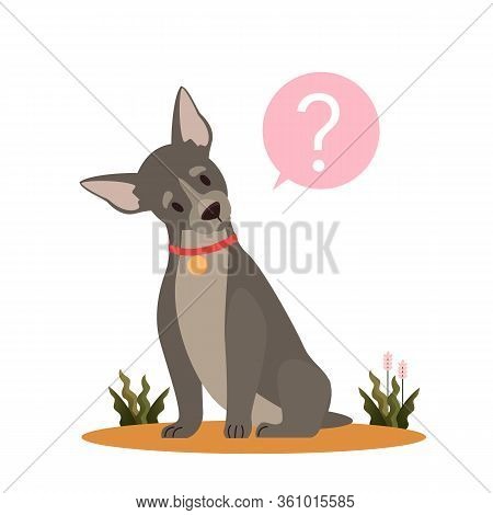 Cute Dog Question Vector & Photo (Free Trial) | Bigstock