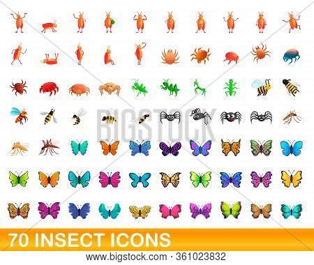 70 Insect Icons Set. Vector & Photo (Free Trial) | Bigstock