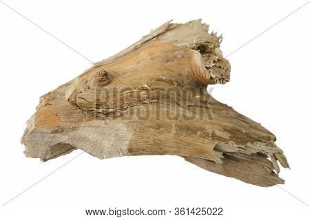 Wooden Splinter Piece Image & Photo (Free Trial) | Bigstock