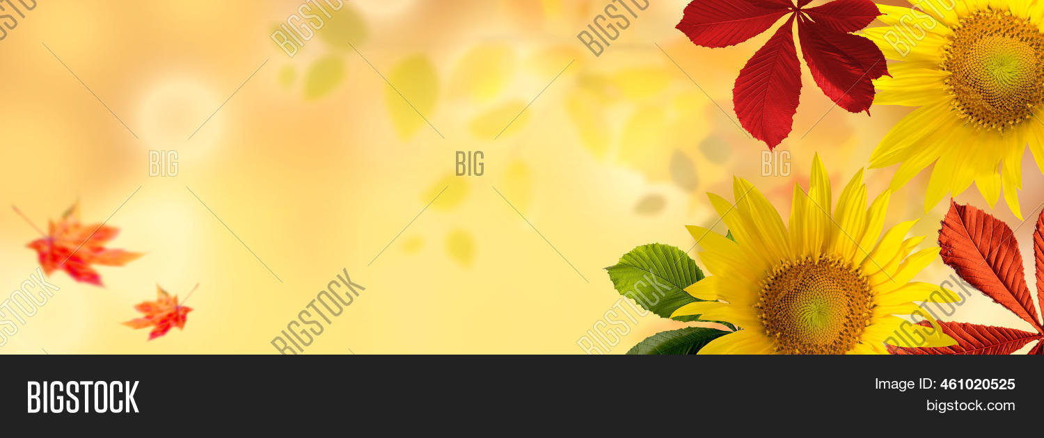 Autumn Banner Image & Photo (Free Trial) | Bigstock