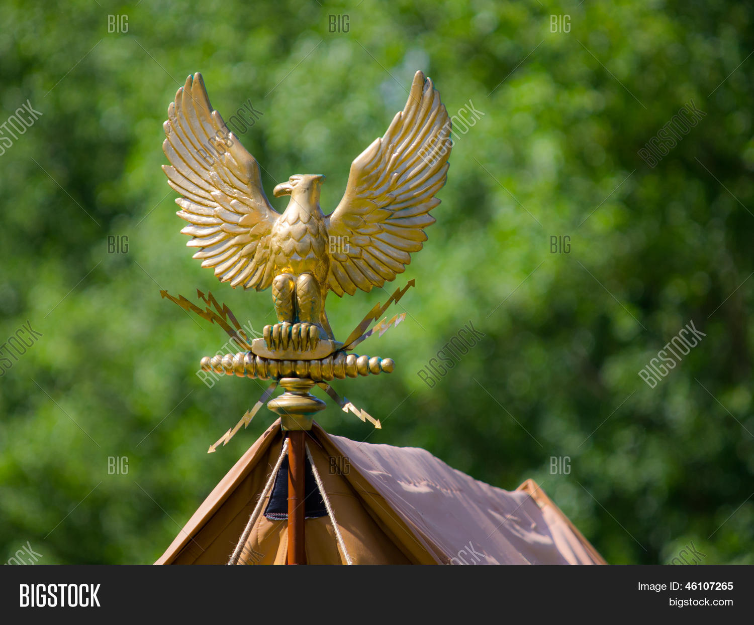 Ancient Roman Eagle Symbol