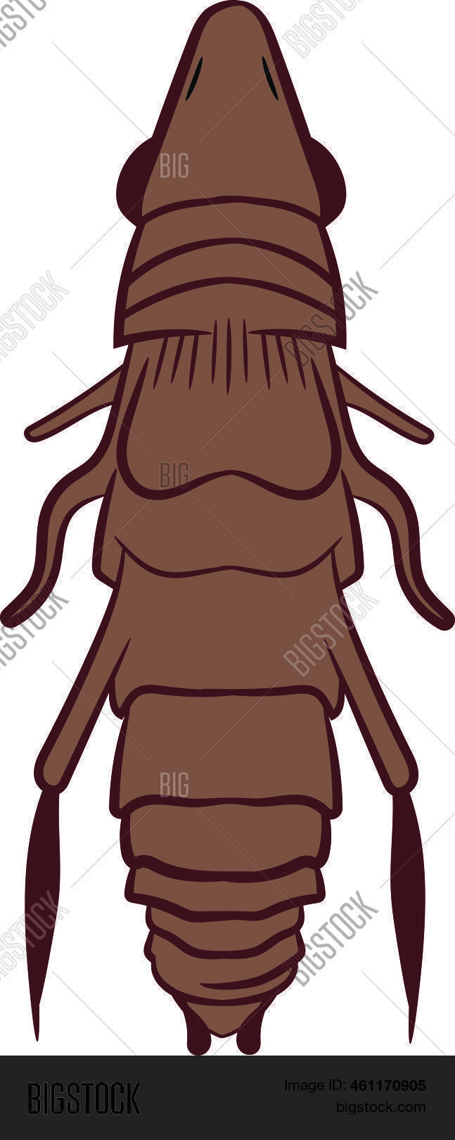 Flea Vector Vector & Photo (Free Trial) | Bigstock