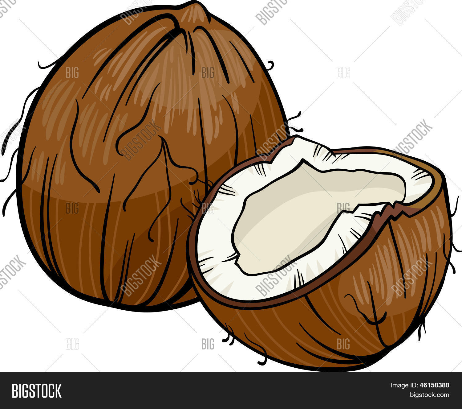 Coconut Cartoon Vector & Photo (Free Trial) | Bigstock