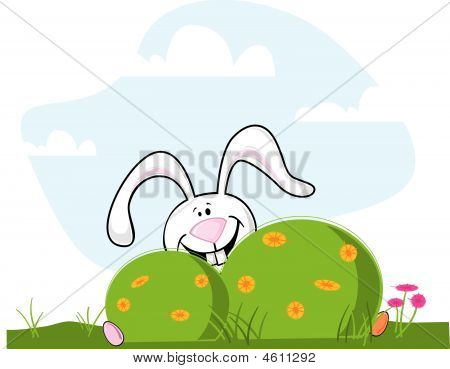 Hiding Bunny Vector & Photo (Free Trial) | Bigstock
