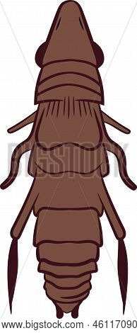 Flea Vector Vector & Photo (Free Trial) | Bigstock