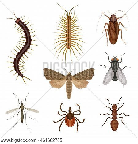 : векторная графика и фото (бесплатная пробная версия) | Bigstock