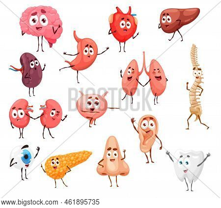 Cartoon Human Body Vector & Photo (Free Trial) | Bigstock