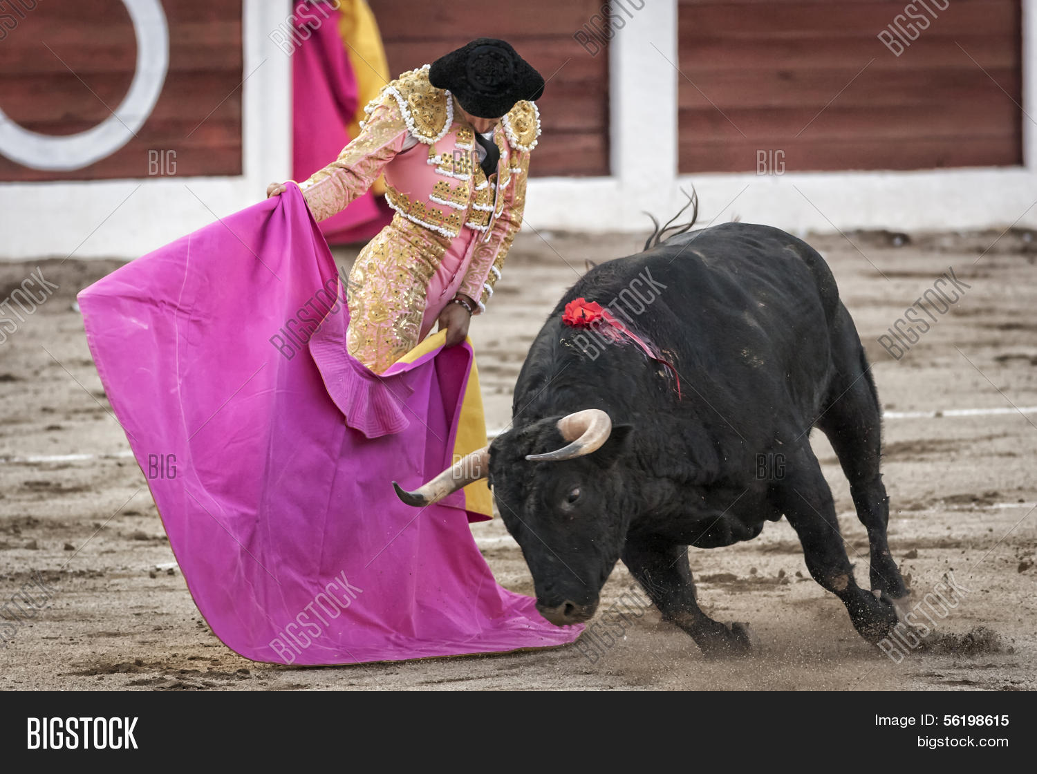 Spanish Bullfighter Image & Photo (Free Trial) | Bigstock