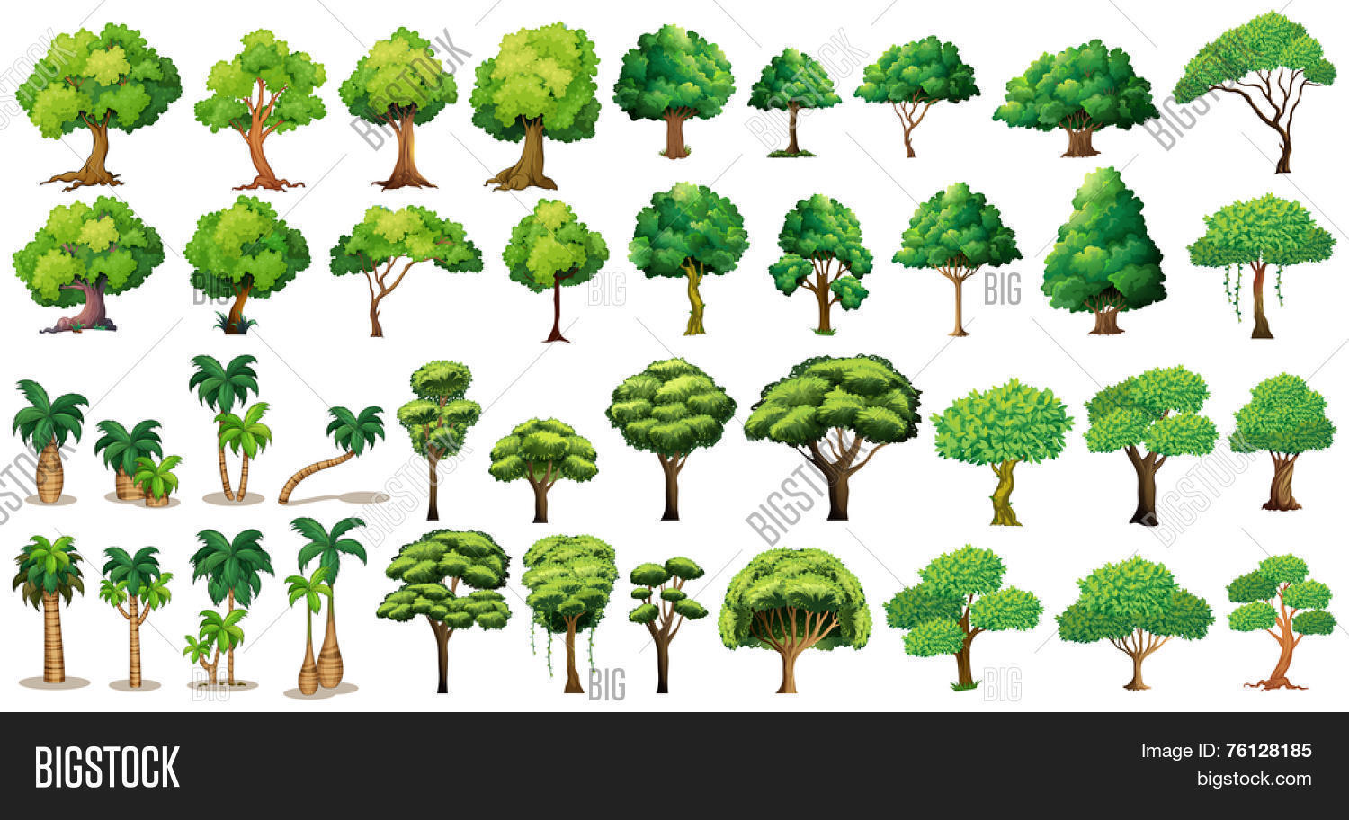 Diversity Trees Set Vector & Photo (Free Trial) | Bigstock