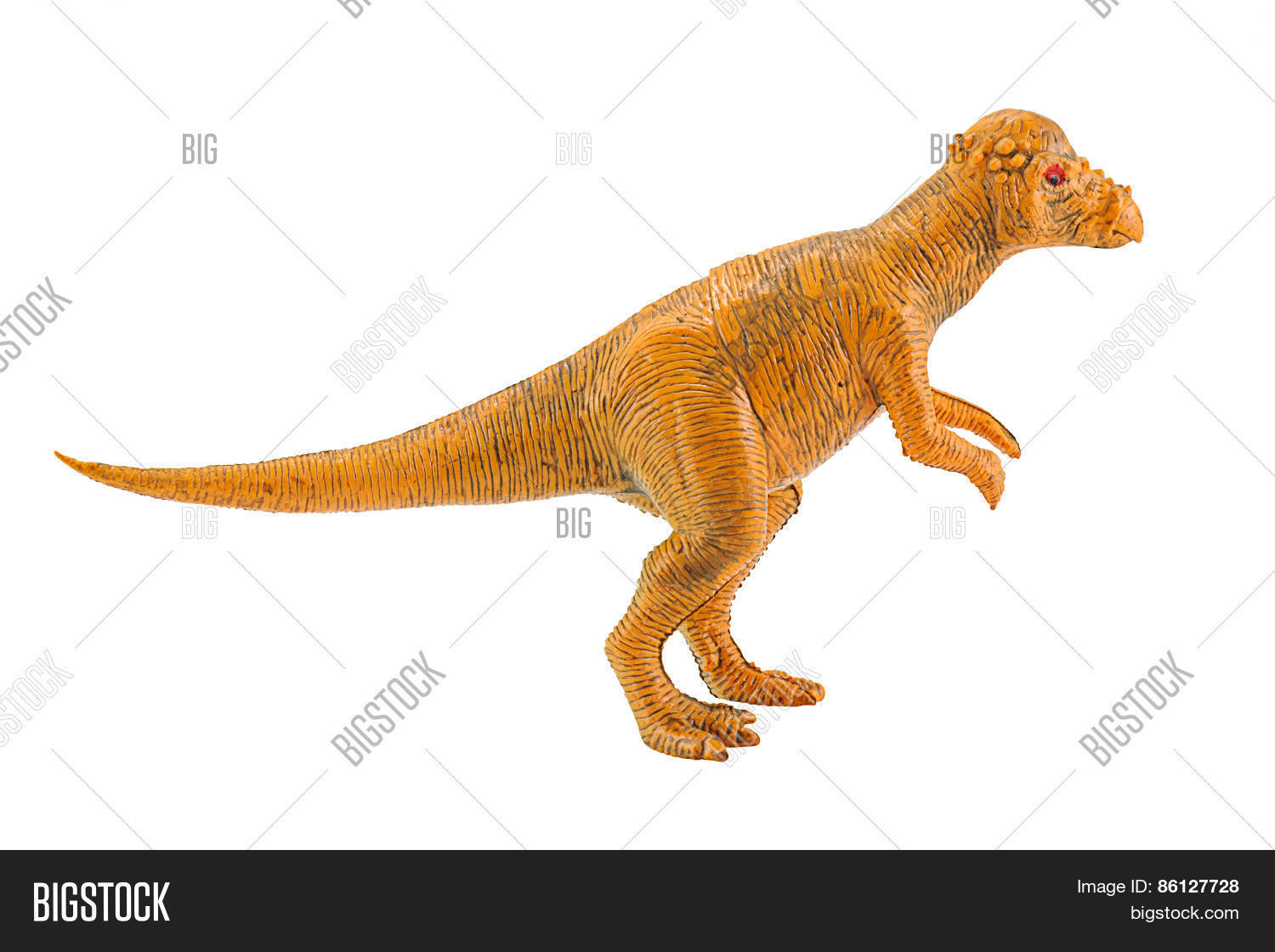 Pachycephalosaurus Image & Photo (Free Trial) | Bigstock
