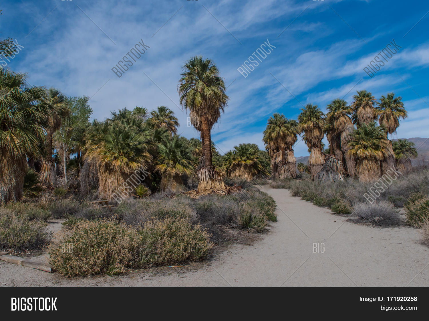 Sand Forms Hiking Path Image & Photo (Free Trial) | Bigstock