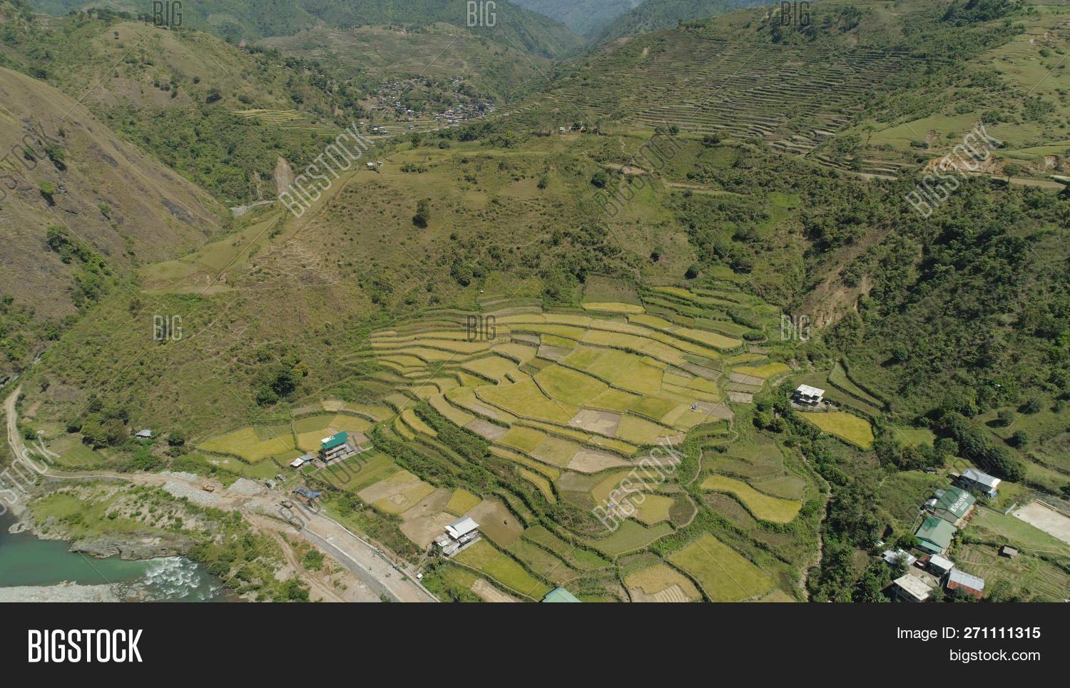 Aerial View Rice Image & Photo (Free Trial) | Bigstock