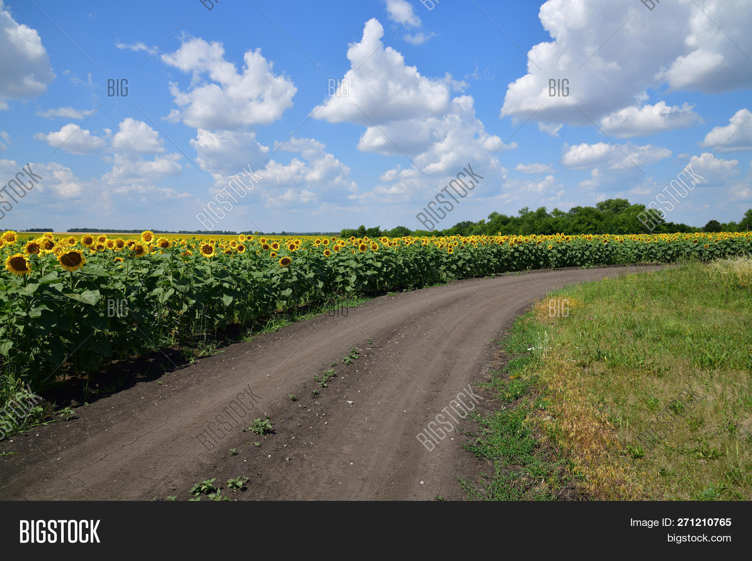 Road On Edge Field Image & Photo (Free Trial) | Bigstock