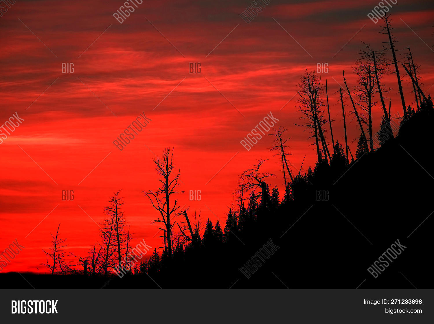 Sunrize Light Fire Red Image & Photo (Free Trial) | Bigstock