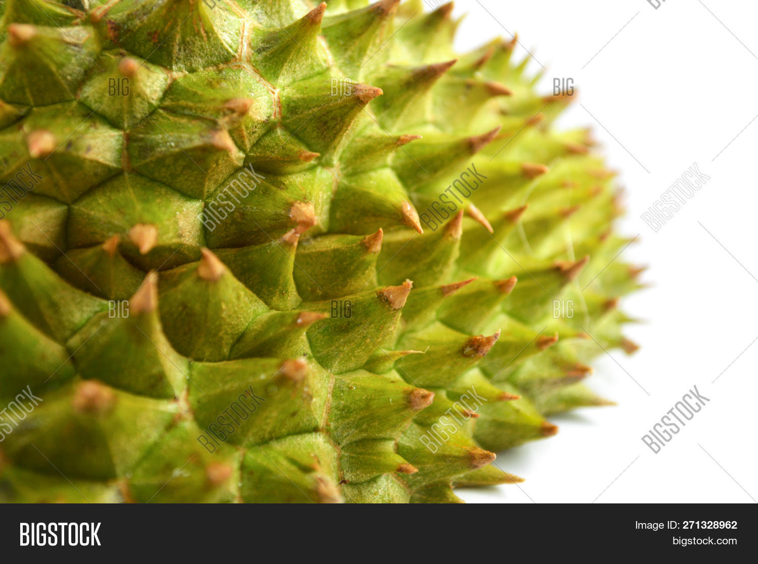 Shell Thorn Durian Image & Photo (Free Trial) | Bigstock