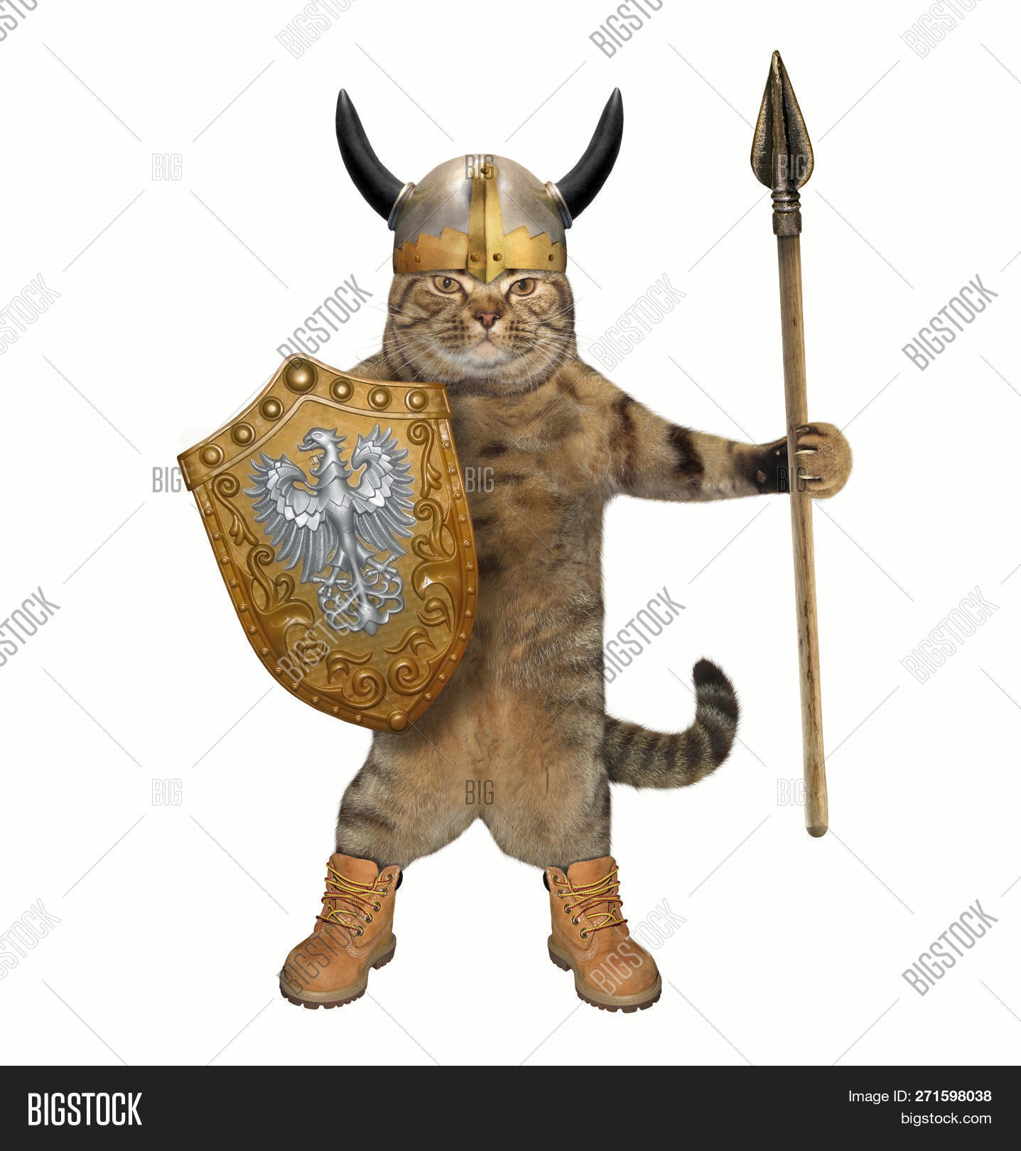 Cat Knight Helmet Image & Photo (Free Trial) | Bigstock