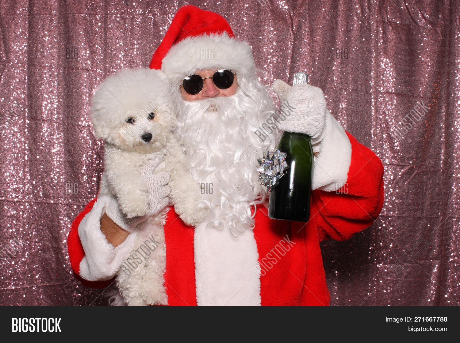 Santa Claus Dog. Santa Image & Photo (Free Trial) | Bigstock