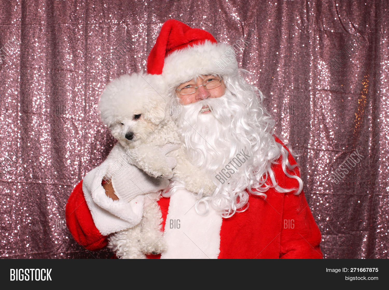Santa Claus Dog. Santa Image & Photo (Free Trial) | Bigstock