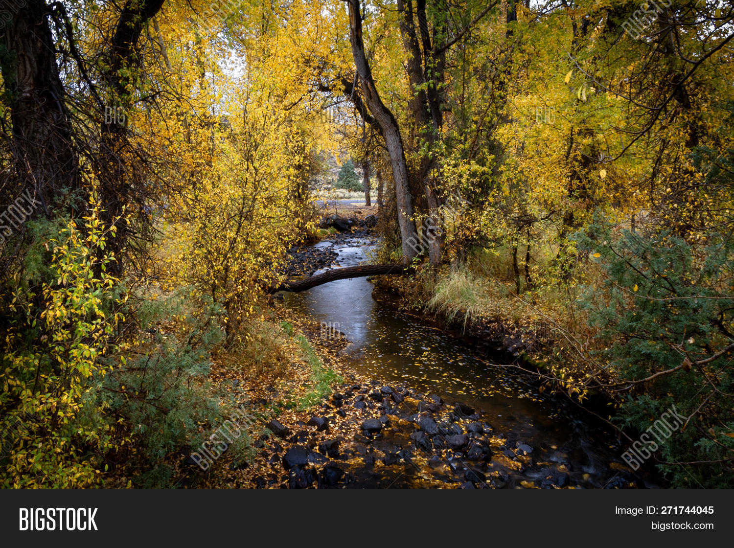 Beautiful Meandering Image & Photo (Free Trial) | Bigstock
