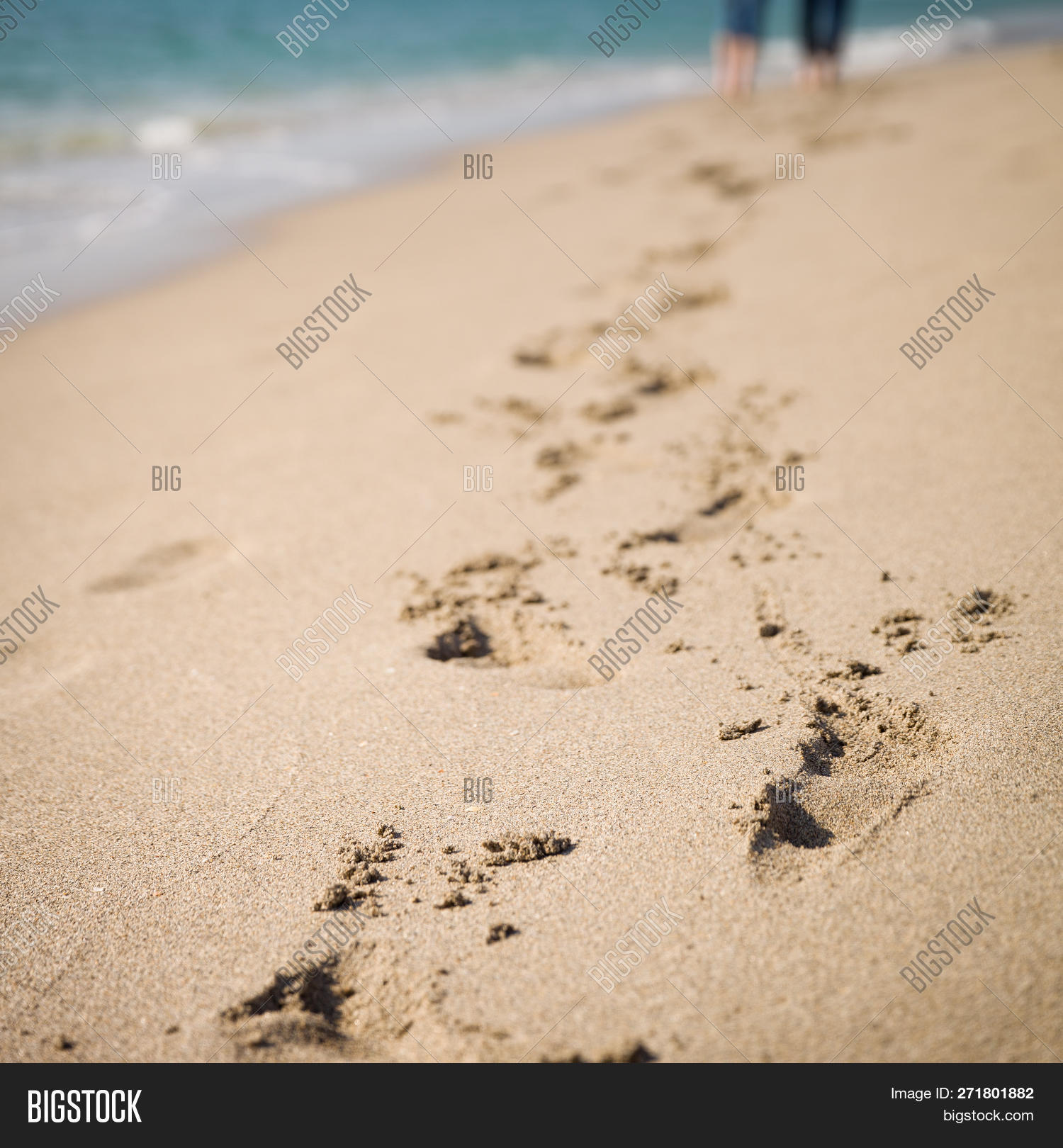 Closeup Footprints Image & Photo (Free Trial) | Bigstock