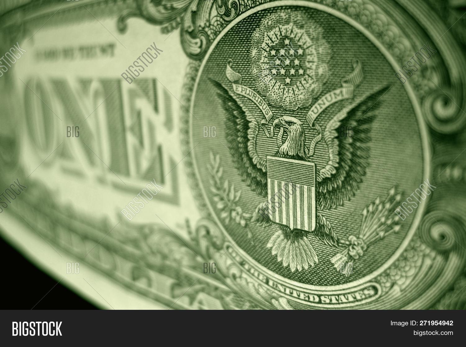 Back Us Dollar Bill, Image & Photo (Free Trial) | Bigstock