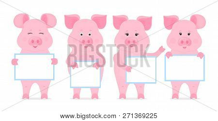 Pigs Holding Blank Vector & Photo (Free Trial) | Bigstock