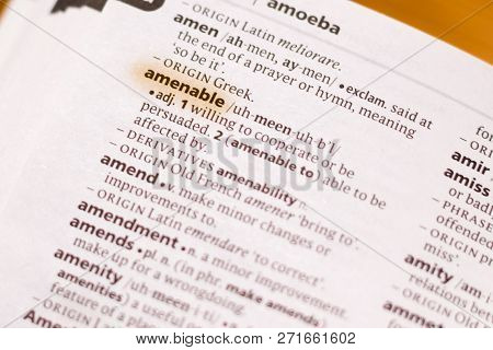 Word Phrase Amenable Image & Photo (Free Trial) | Bigstock