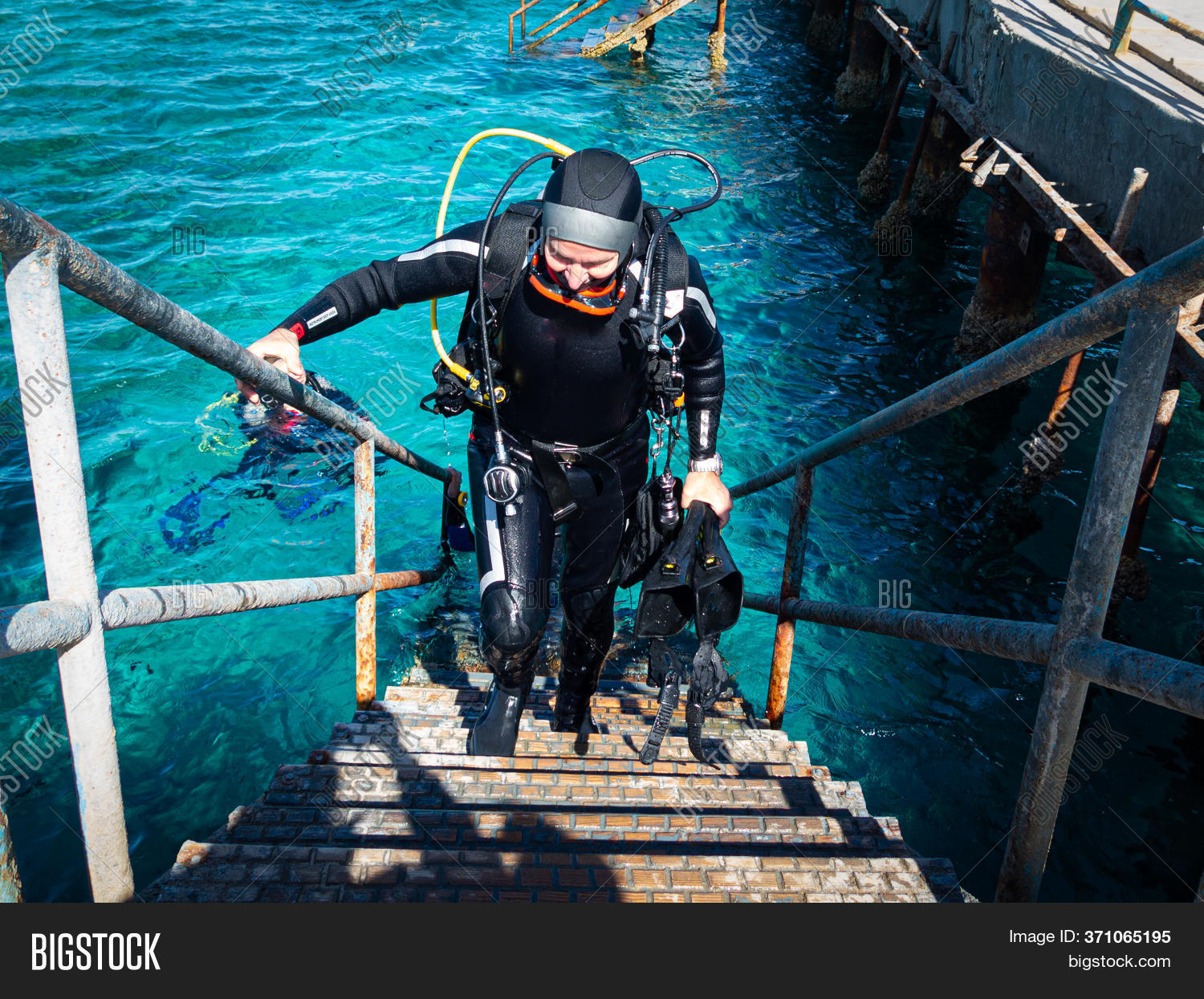 Male Scuba Diver, 50 Image & Photo (Free Trial) | Bigstock