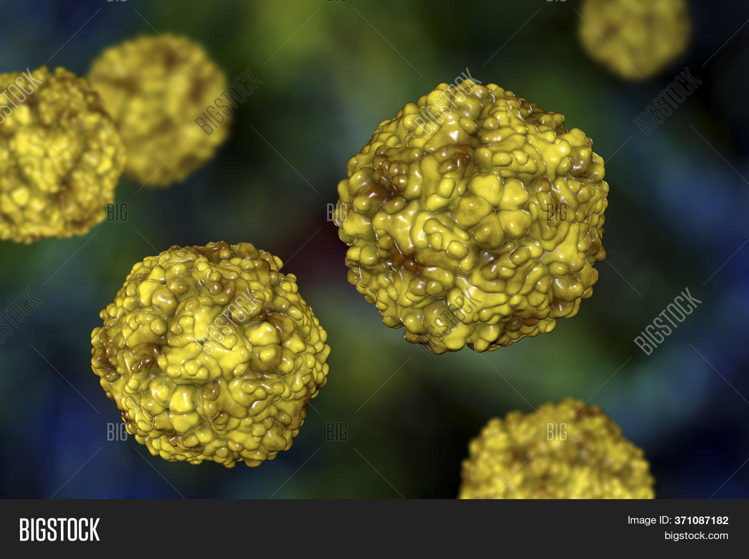 Enteroviruses, Group Image & Photo (Free Trial) | Bigstock