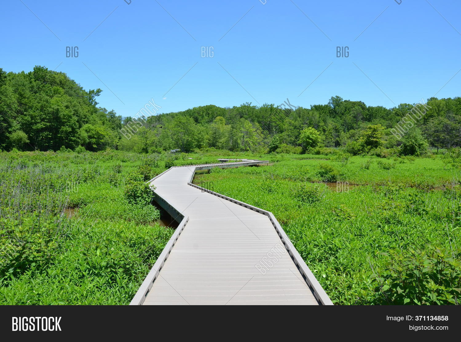 Wood Boardwalk Trail Image & Photo (Free Trial) | Bigstock