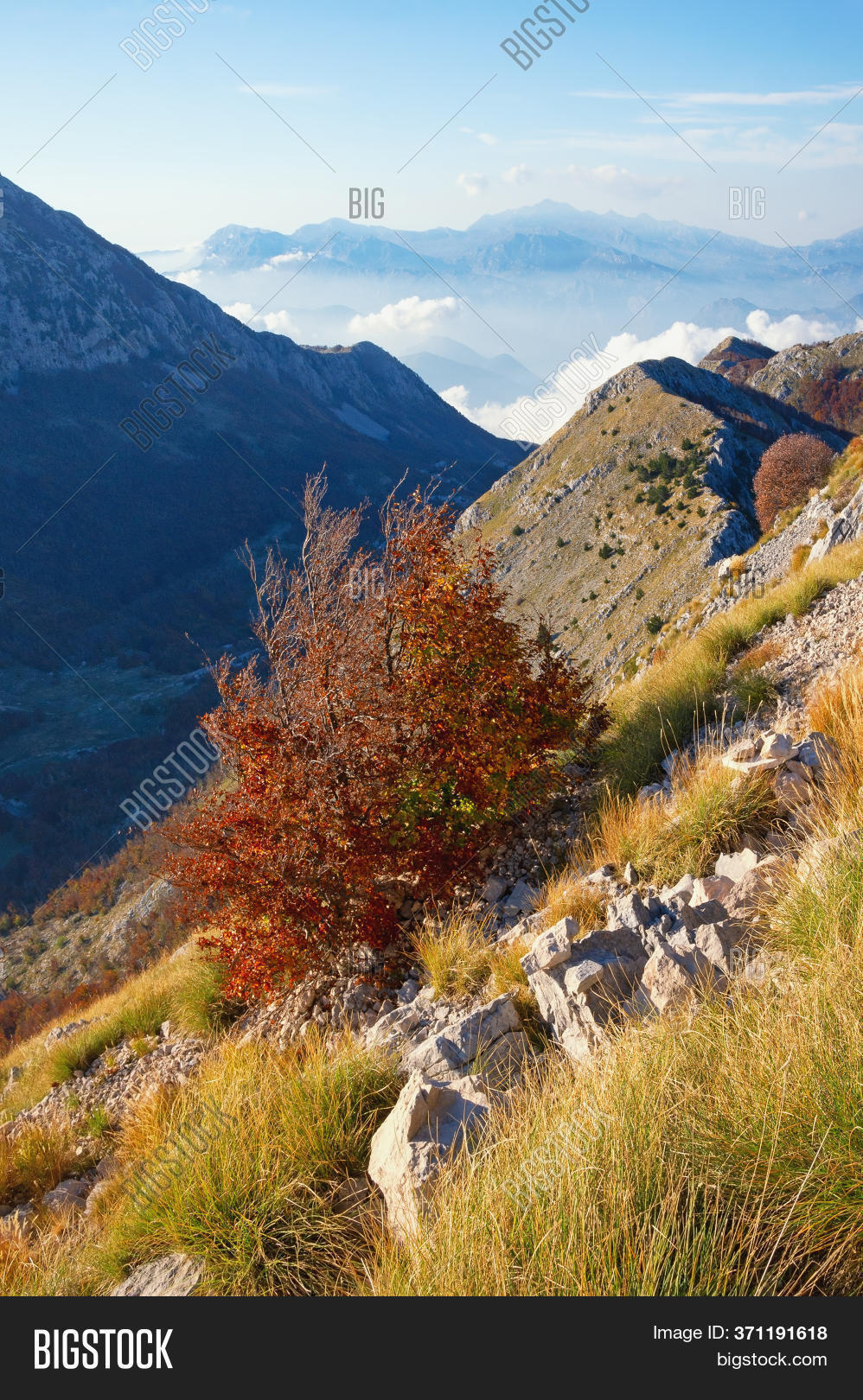 Beautiful Autumn Image & Photo (Free Trial) | Bigstock