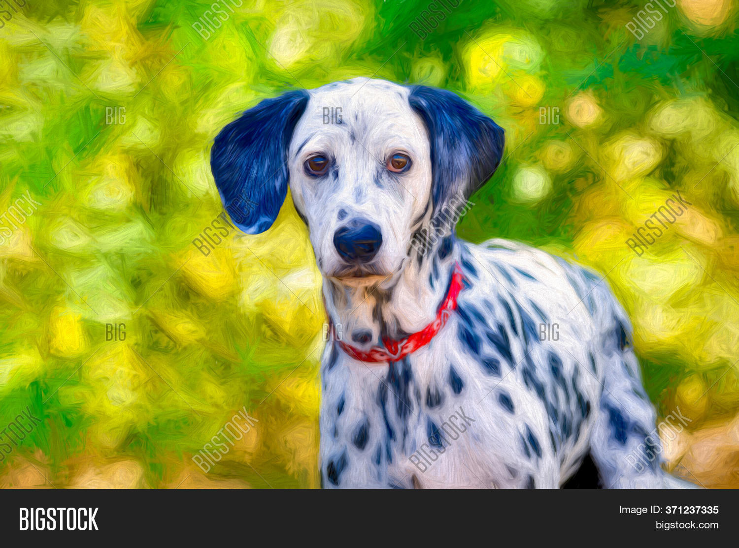 Dalmatian Purebred Image & Photo (Free Trial) | Bigstock