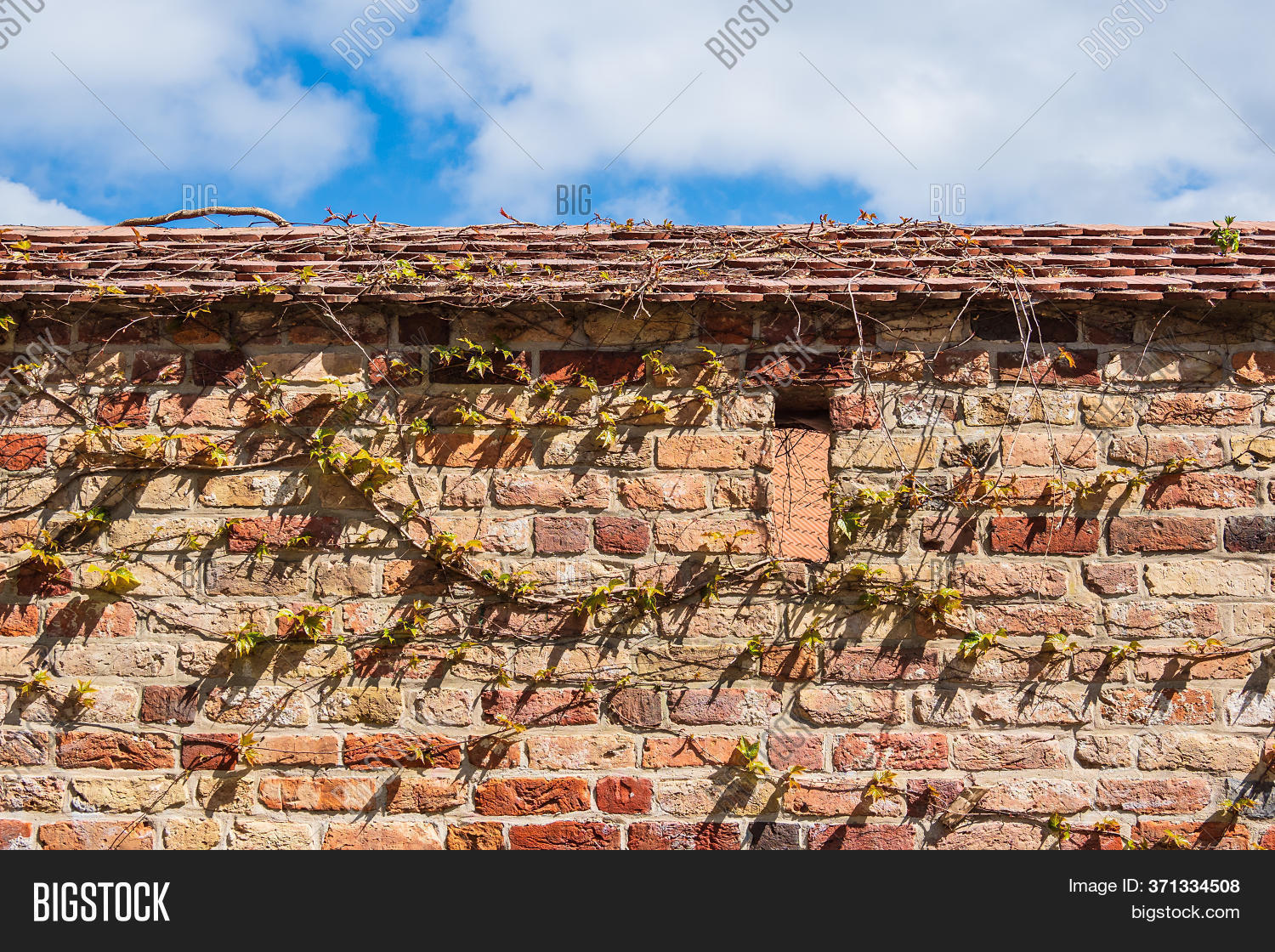 Historical Town Wall Image & Photo (Free Trial) | Bigstock