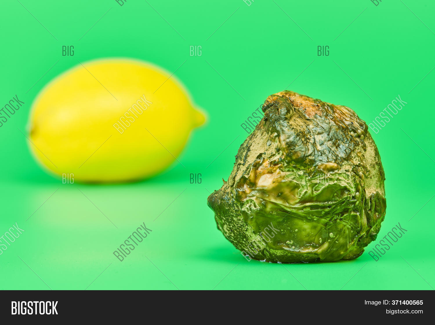 Rotten Lemon Fresh Image & Photo (Free Trial) | Bigstock