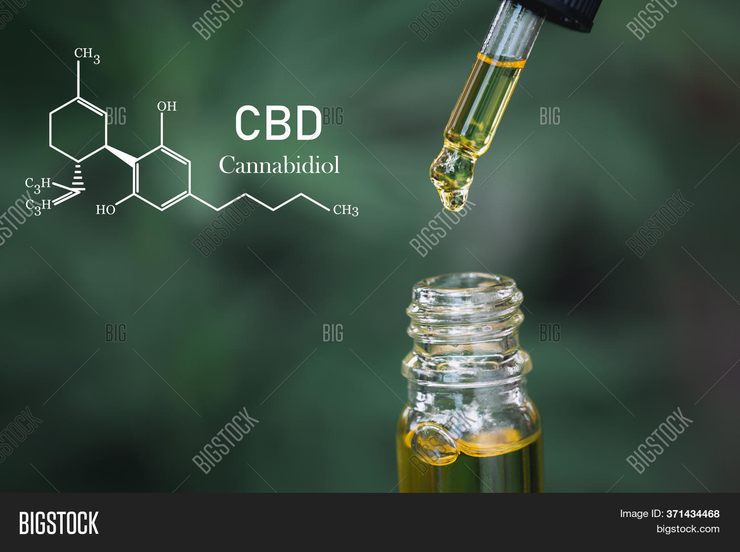 Cbd Elements Cannabis Image & Photo (Free Trial) | Bigstock