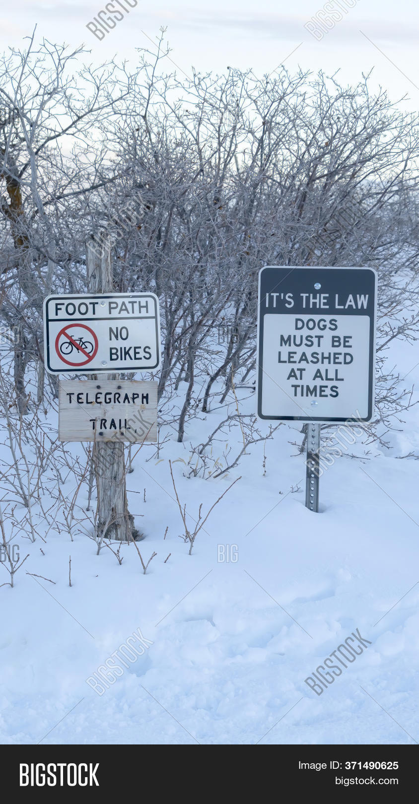 Vertical Frame Foot Image & Photo (Free Trial) | Bigstock