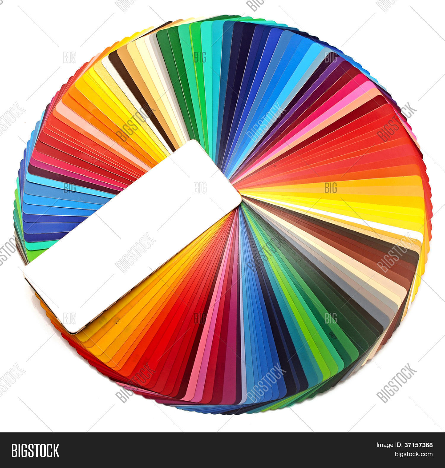 Color Circle Isolated Image & Photo (Free Trial) | Bigstock