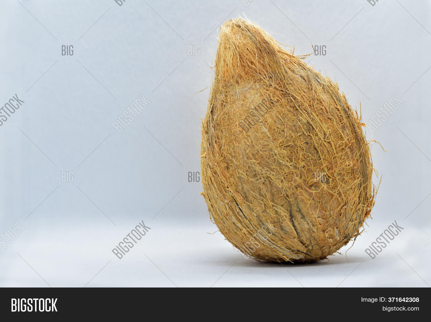 Coconut Fruit Coconut Image & Photo (Free Trial) | Bigstock