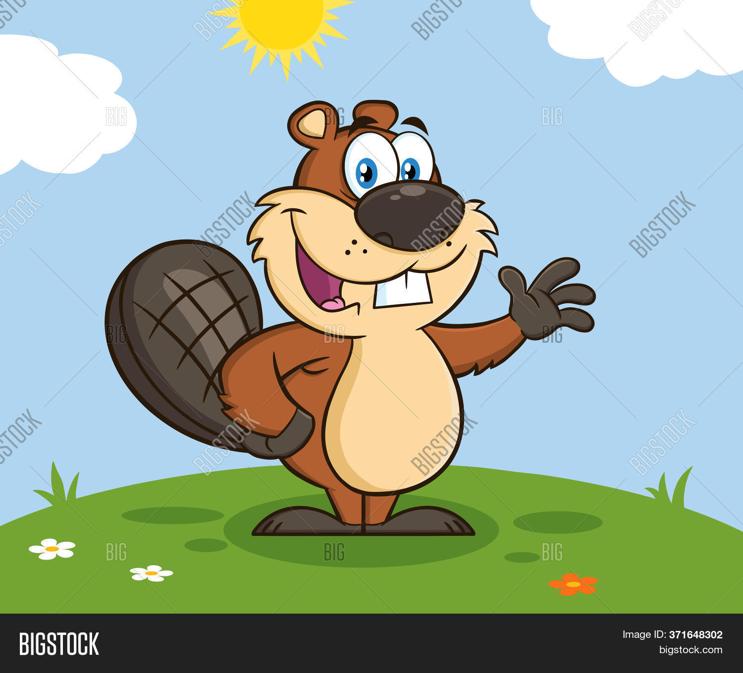Beaver Cartoon Mascot Image & Photo (Free Trial) | Bigstock