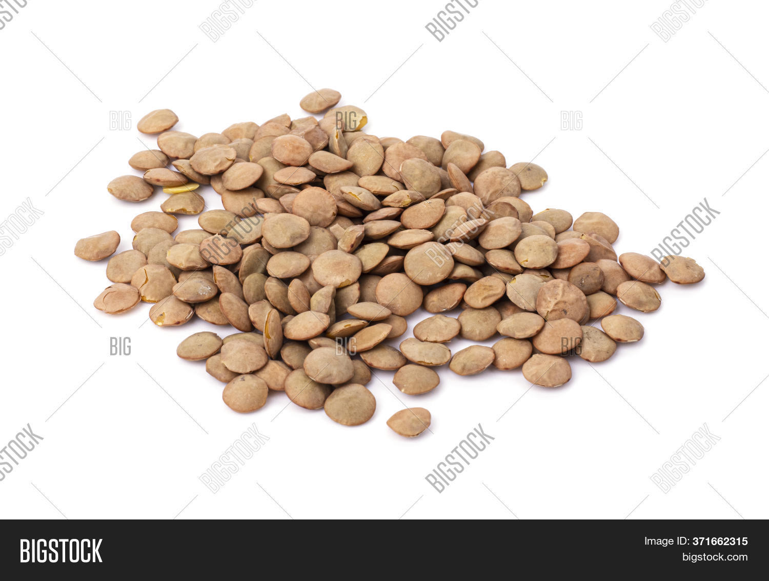 Raw Lentil Seeds Image & Photo (Free Trial) | Bigstock