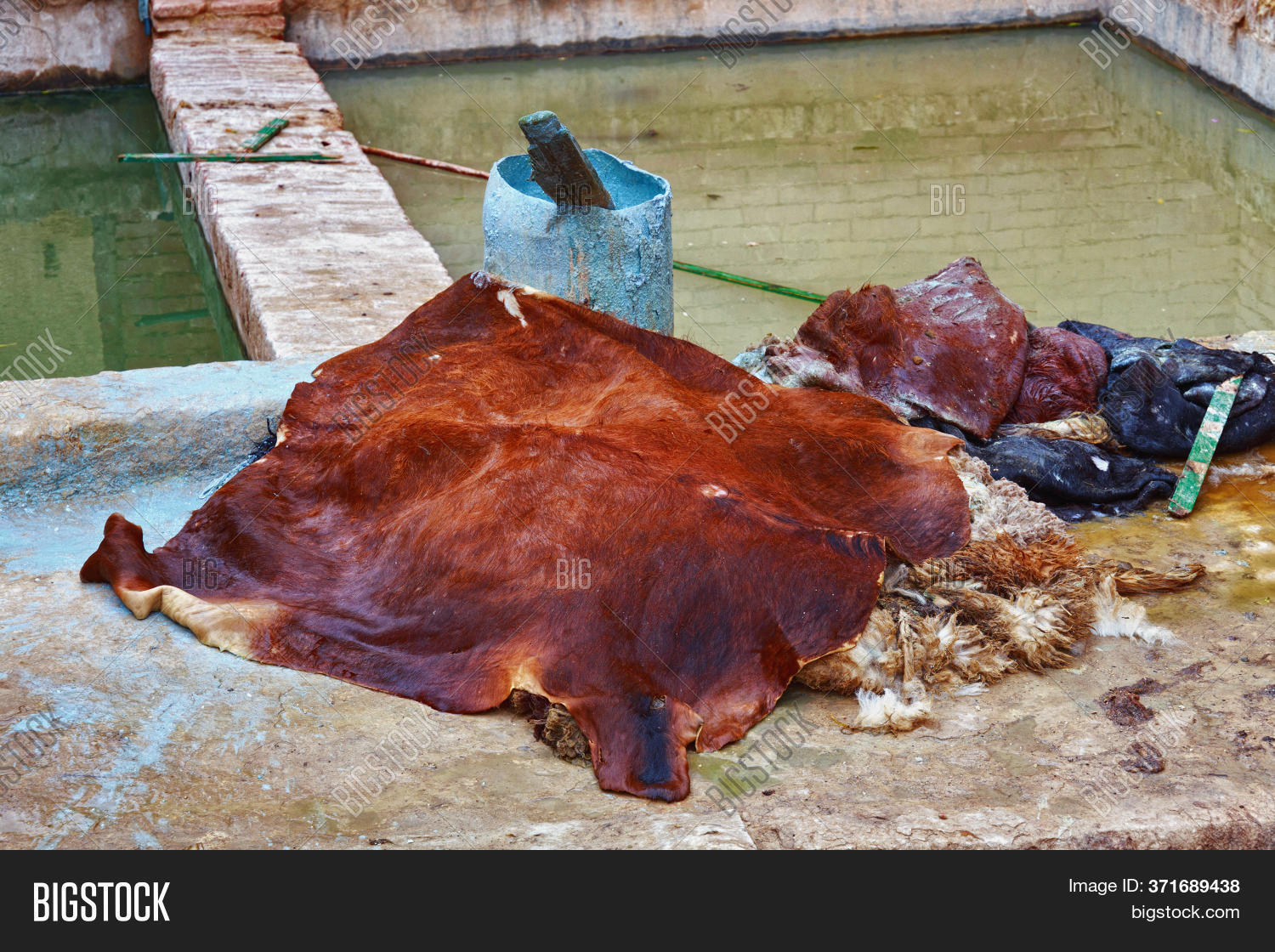 Leather Drying Near Image & Photo (Free Trial) | Bigstock