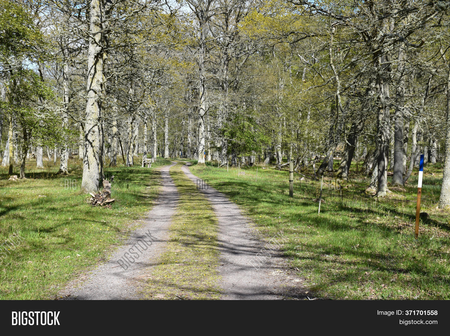 Marked Footpath Image & Photo (Free Trial) | Bigstock
