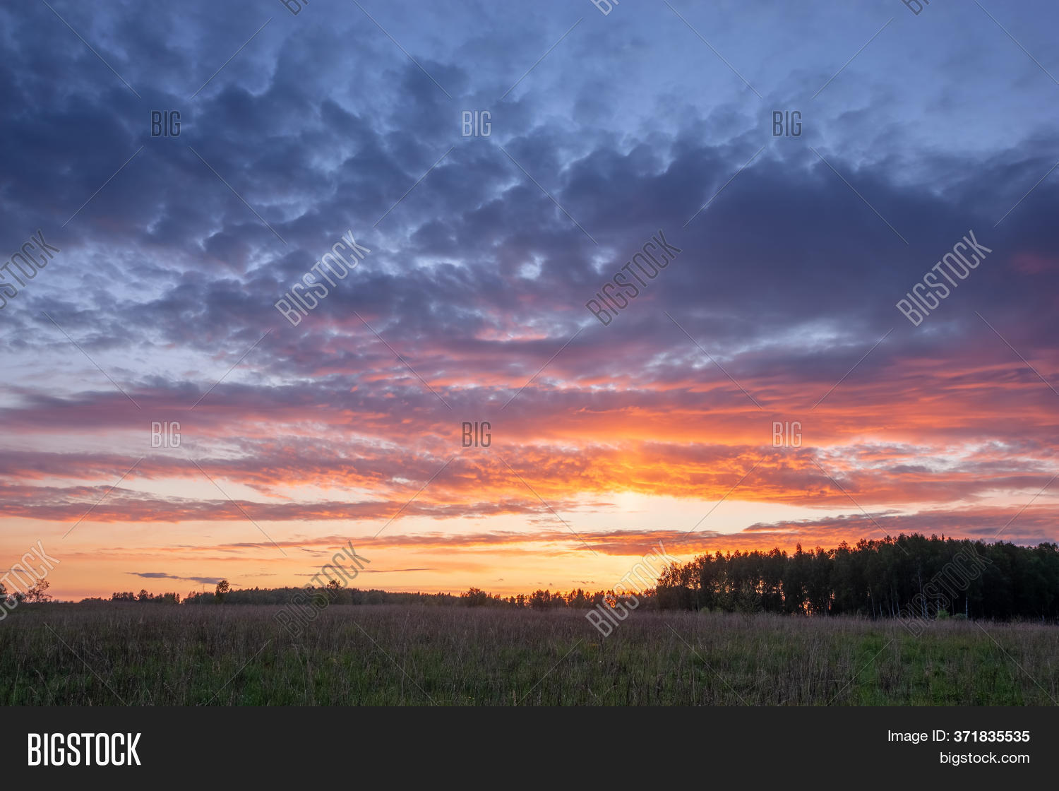 Sunset Field Clouds