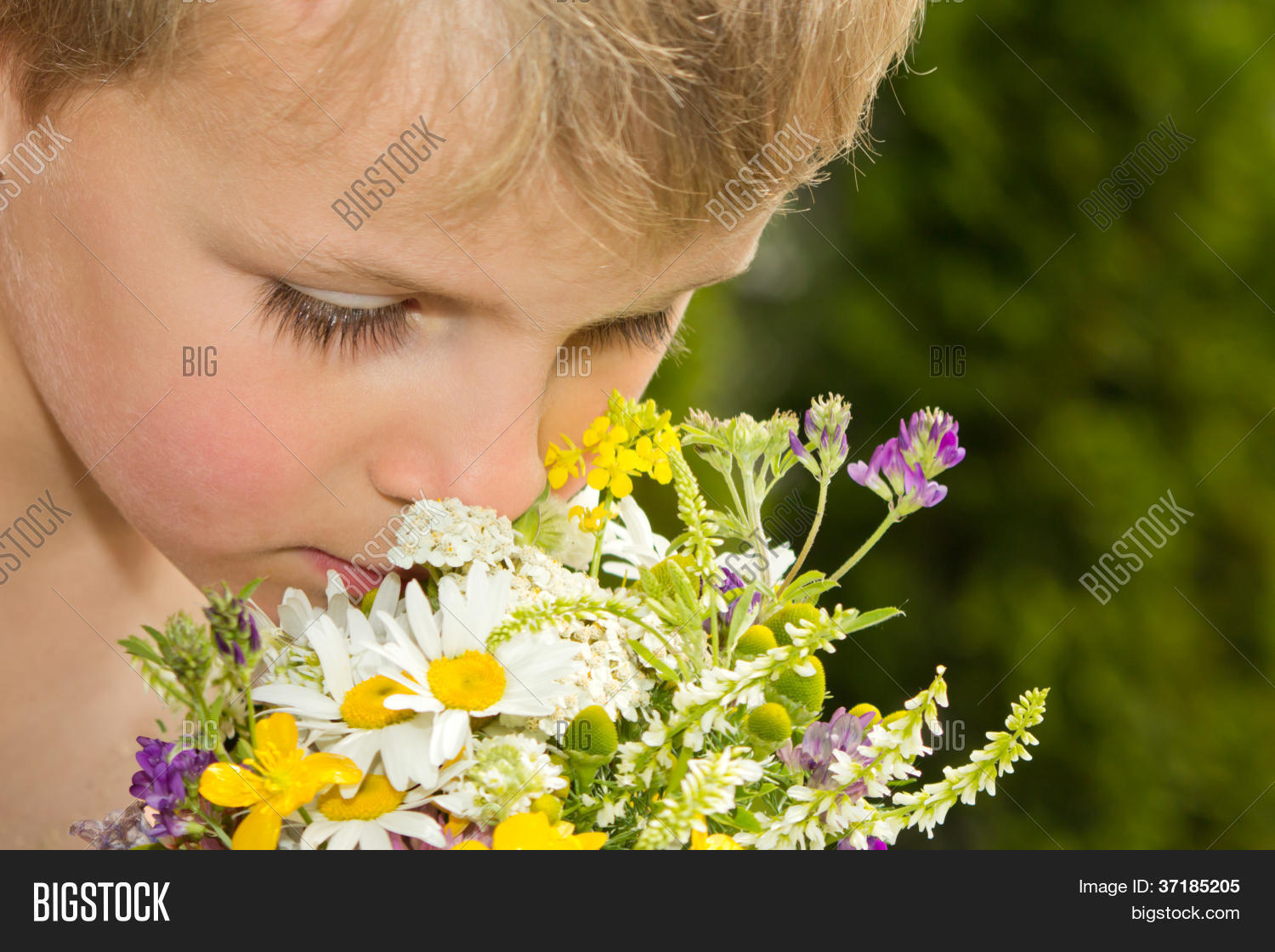 Young Boy Smelling Image & Photo (Free Trial) | Bigstock